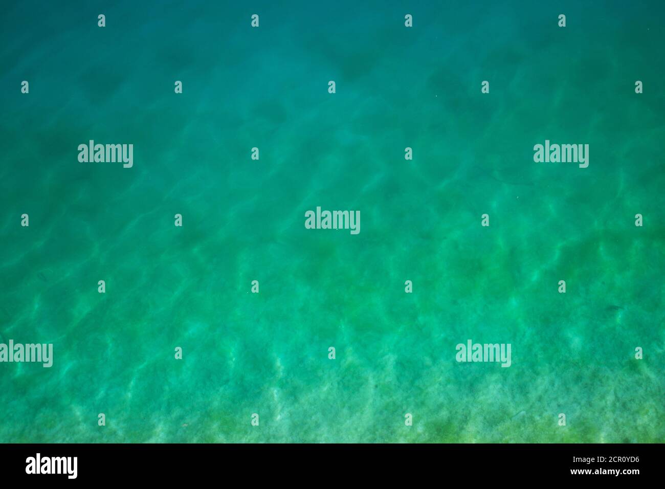 Looking at bottom of a man-made pond with a reflection of aqua to teal ...