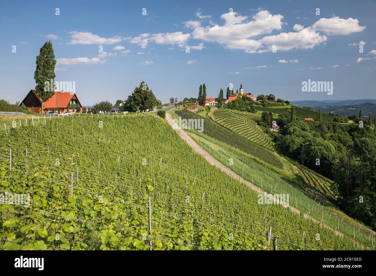 Summer in Kitzeck im Sausal, view over the vineyards to the parish ...