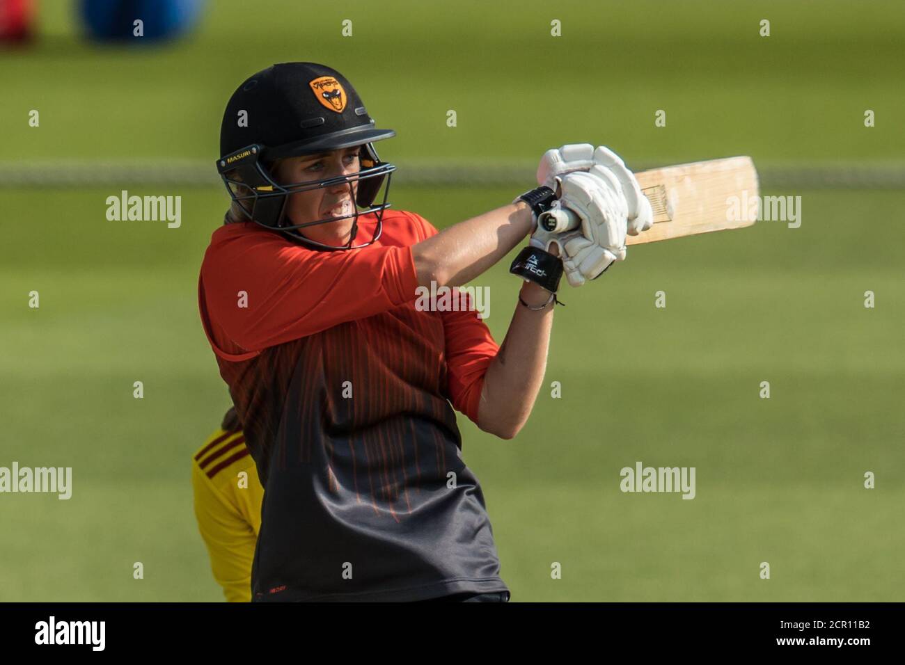 Bouchier cricket vipers hi-res stock photography and images - Alamy