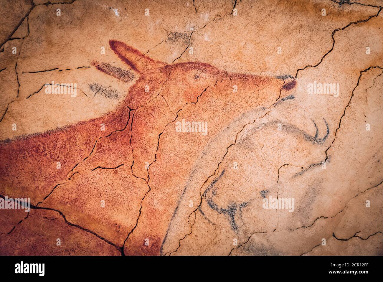 Closeup of the old drawings on the walls of a cave Stock Photo - Alamy