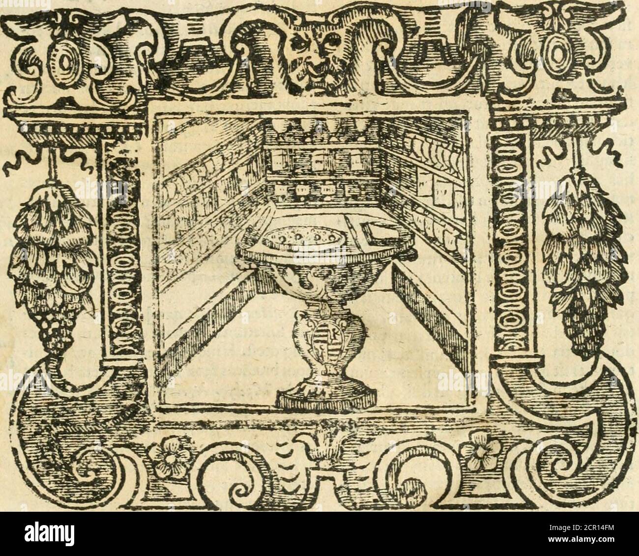 Arcula hi-res stock photography and images - Alamy