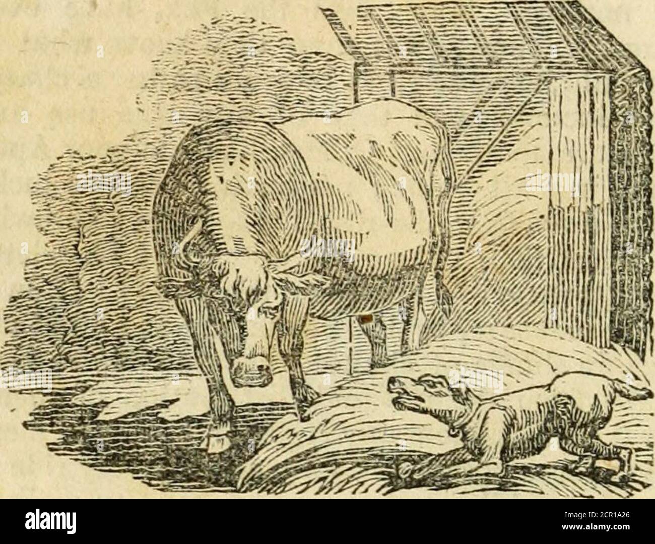 Aesops fables dog hi-res stock photography and images - Alamy