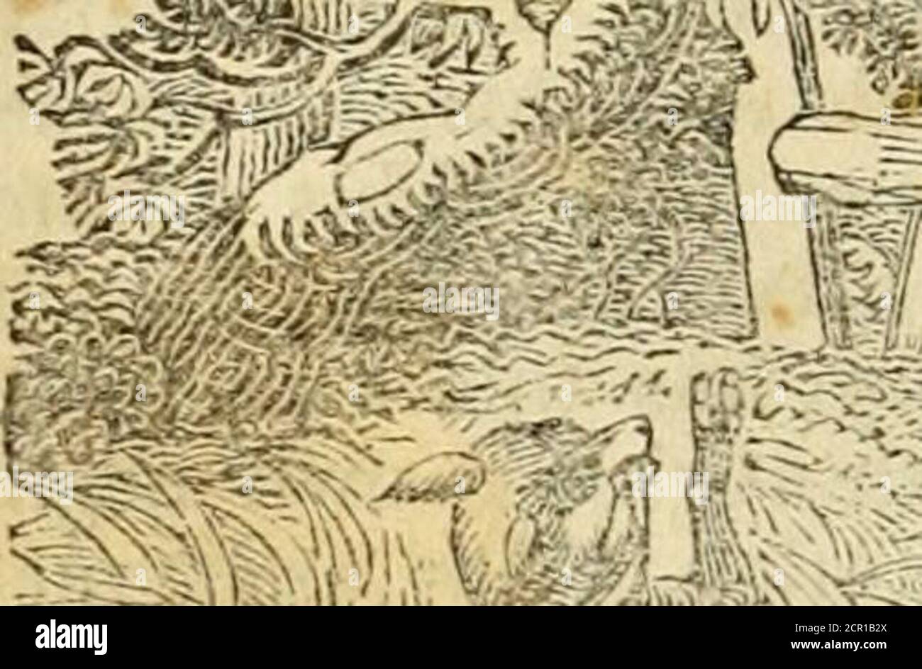 . Æsop's fables : with upwards of one hundred and fifty emblematical ...