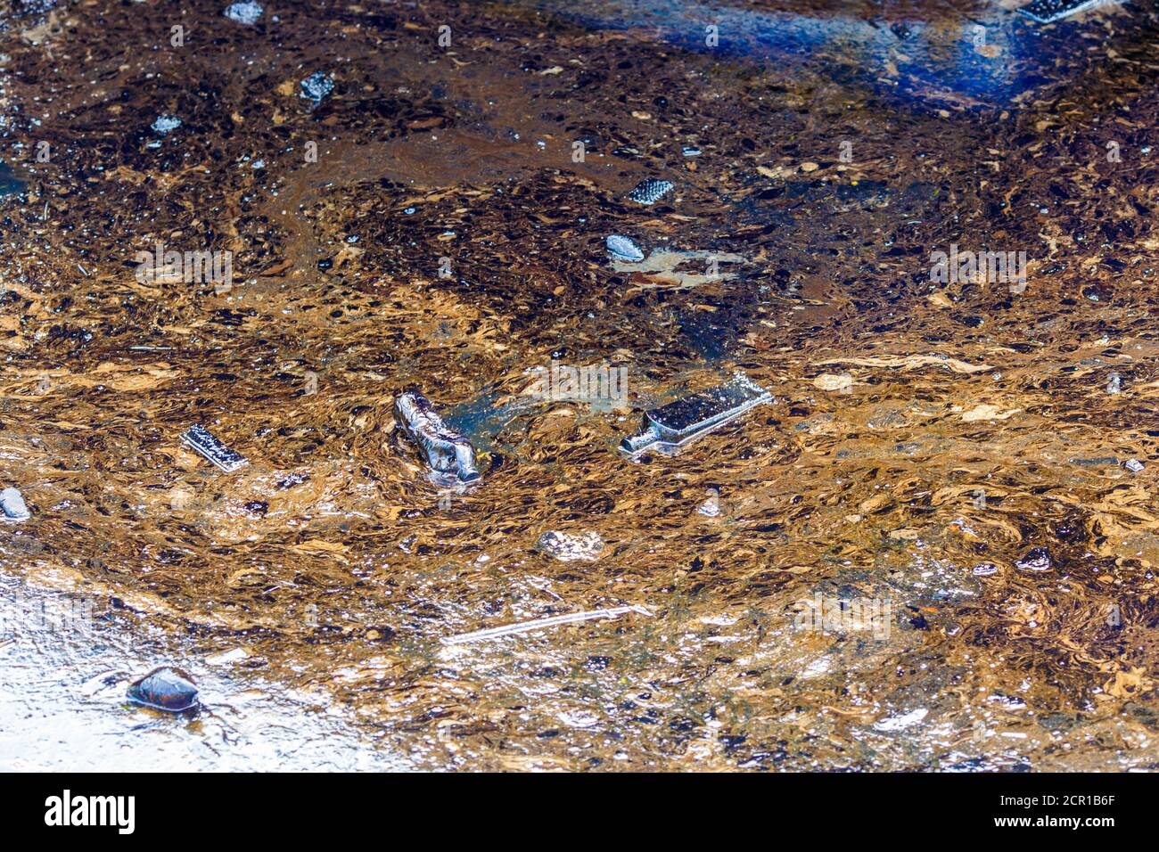 Ecological catastrophy. Spill of oil products into the sea. Poisonous ...