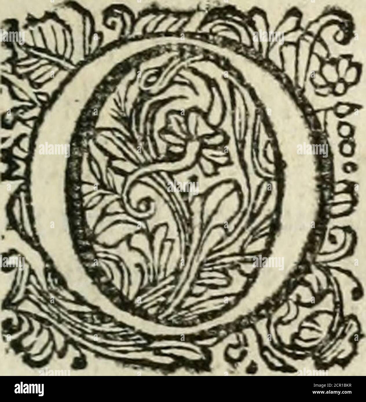 Achelois hi-res stock photography and images - Alamy