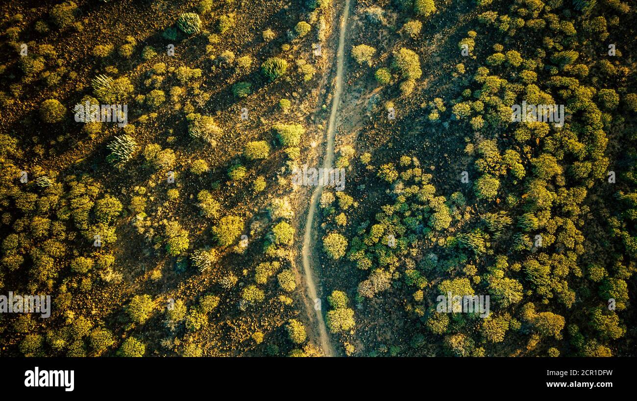 Deforestation vertical hi-res stock photography and images - Alamy