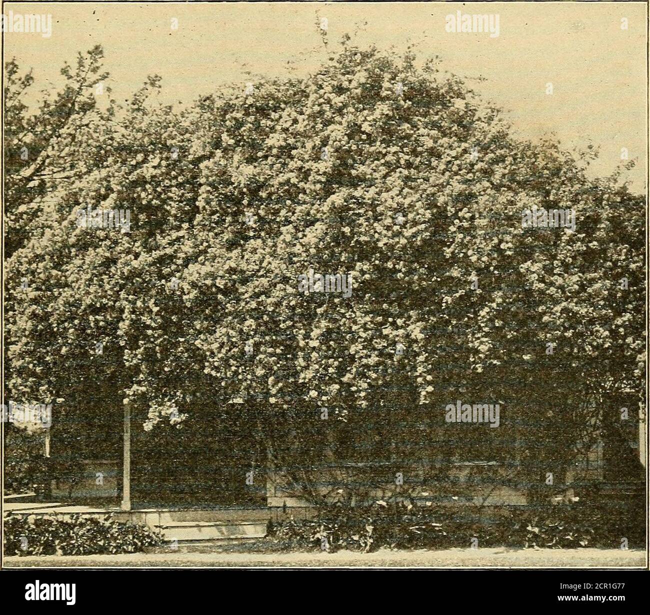 Coloured Dials High Resolution Stock Photography and Images - Alamy