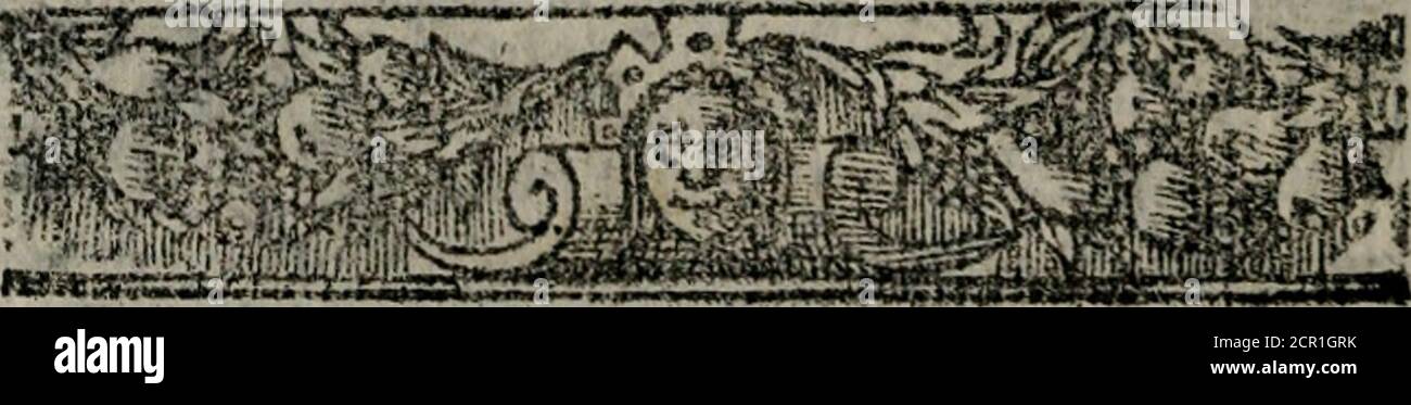 Luzga hi-res stock photography and images - Alamy