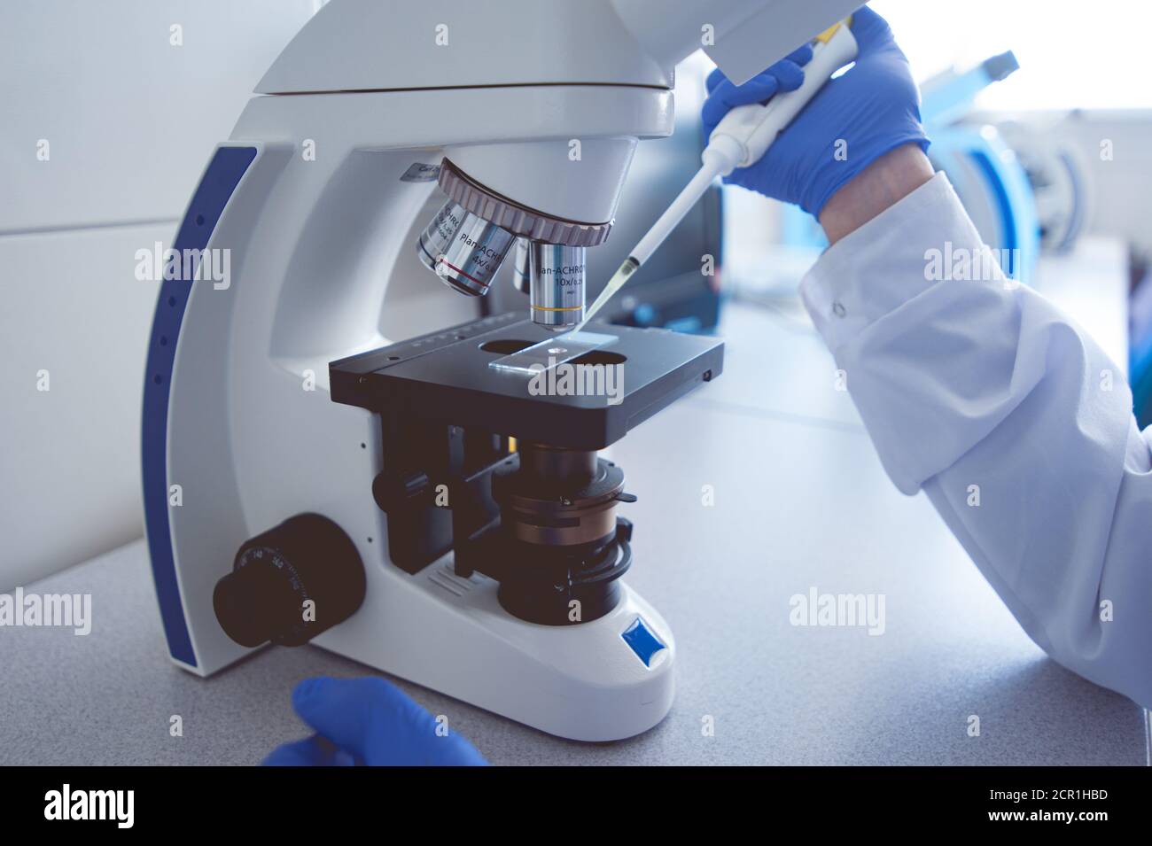 Cytological and morphological examination in the laboratory Stock Photo ...