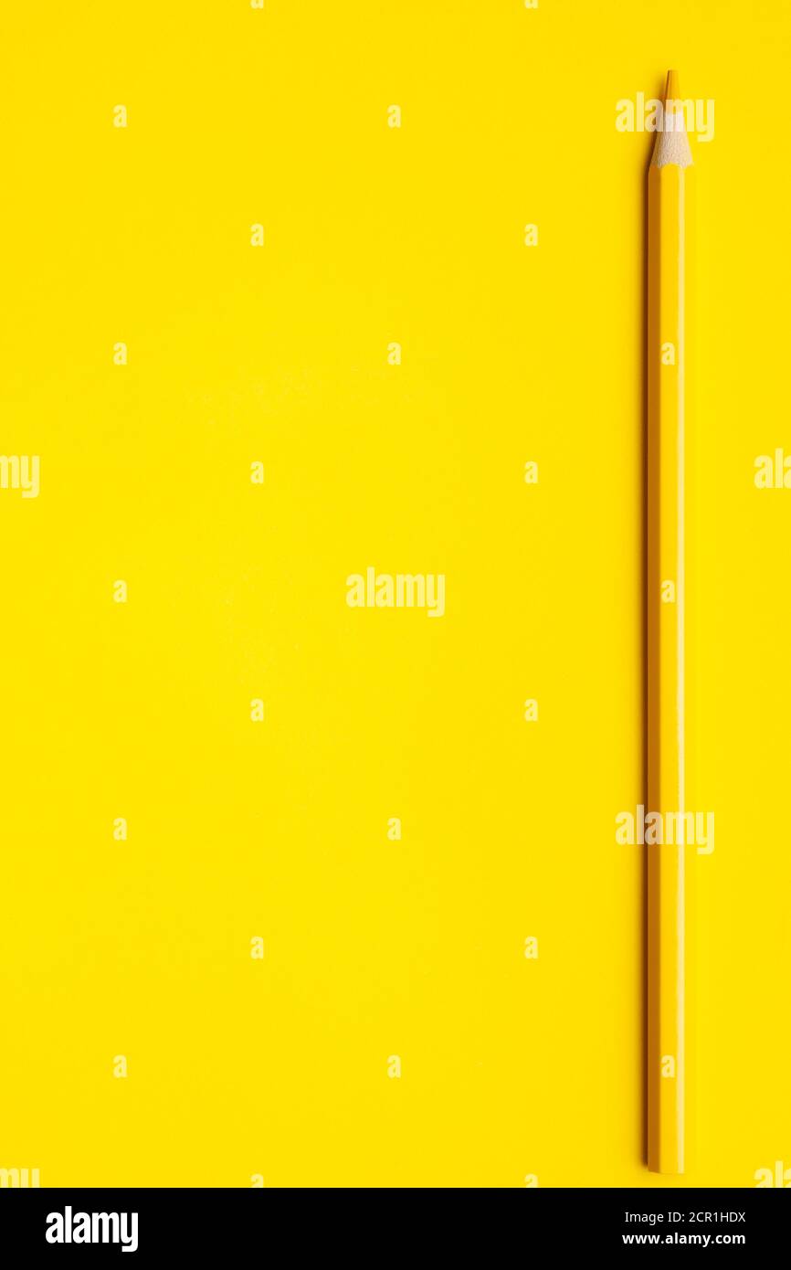 vertical yellow sharp wooden pencil on a bright yellow background ...