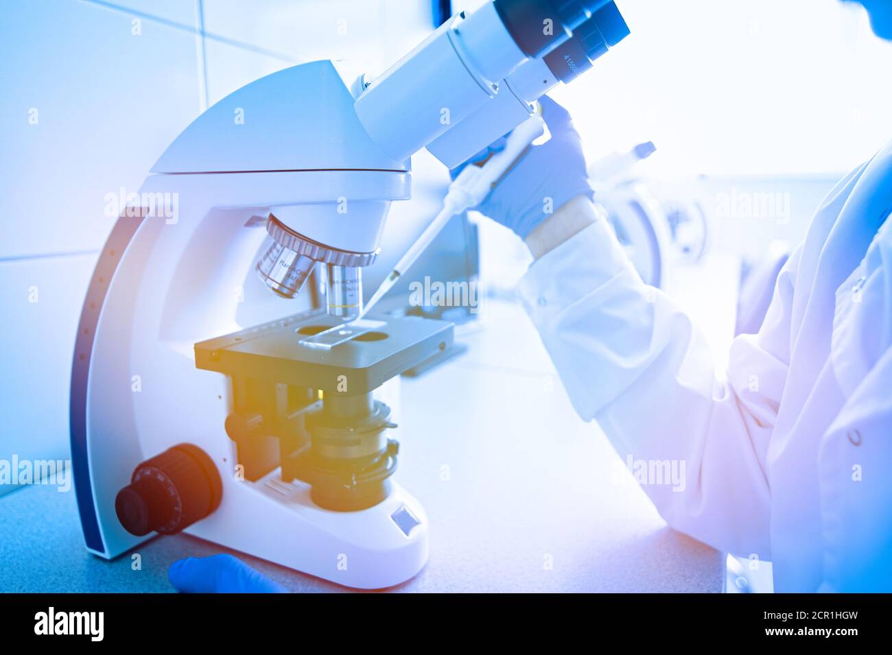 Cytological and morphological examination in the laboratory Stock Photo ...