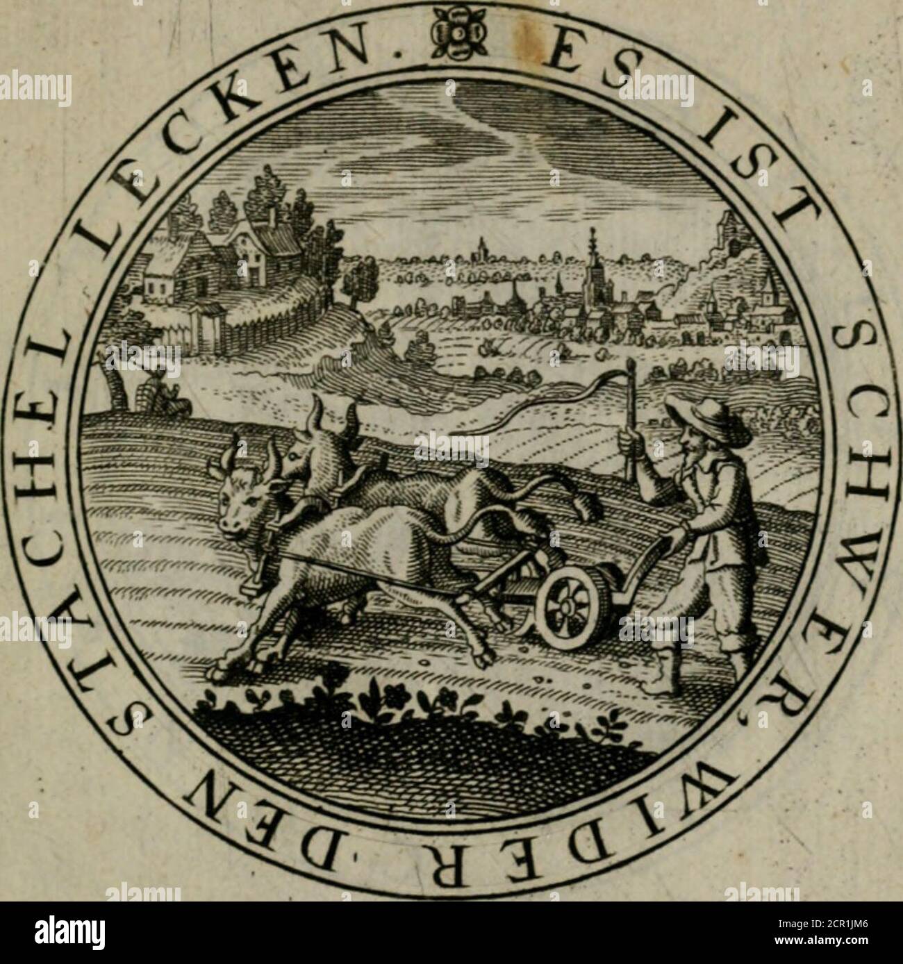 Rex sacrorum hi-res stock photography and images - Alamy