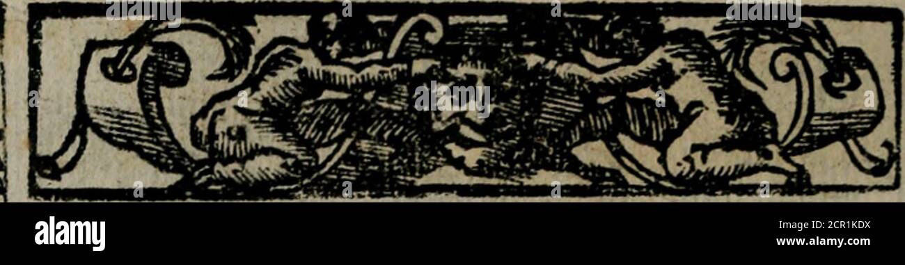 Fanfarrón hi-res stock photography and images - Alamy