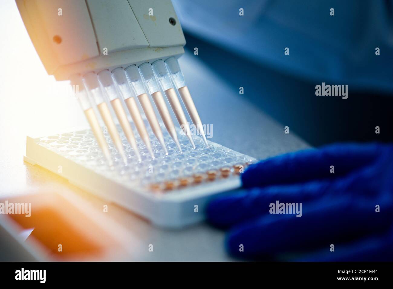Variable volume multichannel pipette. Medical worker, scientist ...