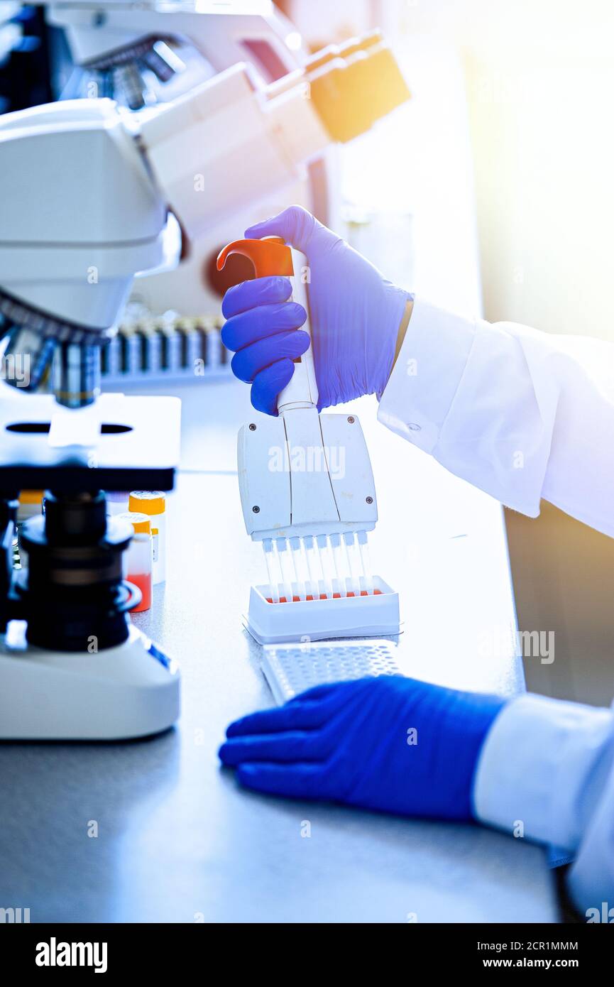 Variable volume multichannel pipette. Medical worker, scientist ...