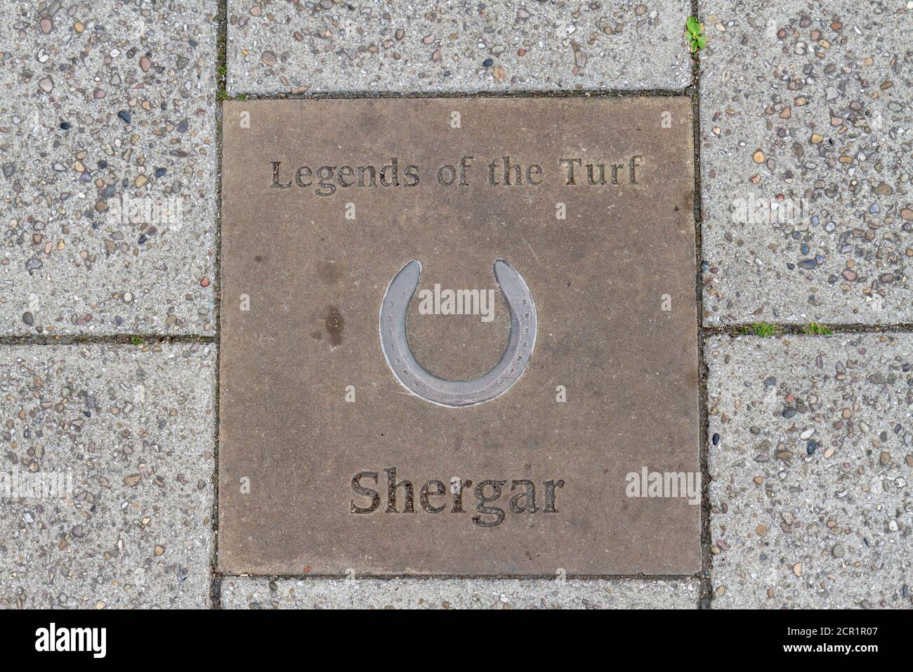With shergar hi-res stock photography and images - Alamy