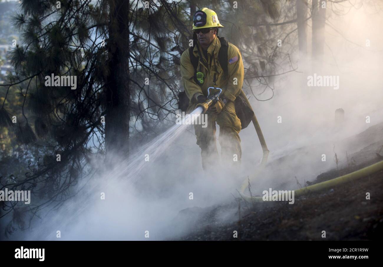 Firefighter Small Forest Fire High Resolution Stock Photography and ...