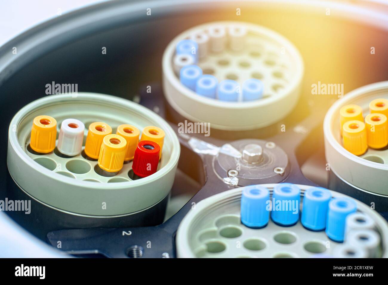 Biomaterial hi-res stock photography and images - Alamy