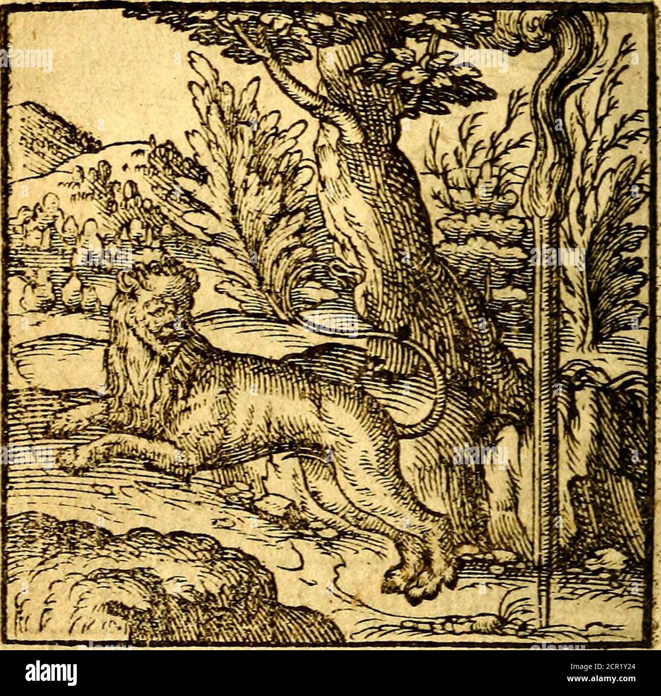 Nmfc hi-res stock photography and images - Alamy