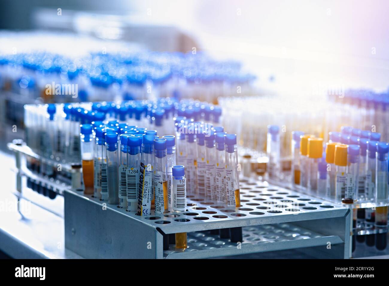 Biomaterial hi-res stock photography and images - Alamy