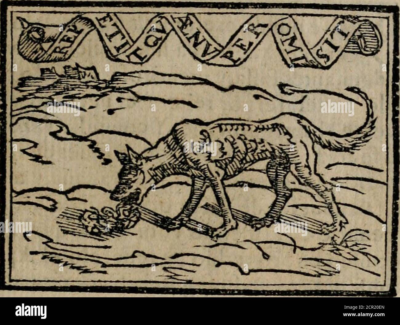 Dios perro hi-res stock photography and images - Alamy