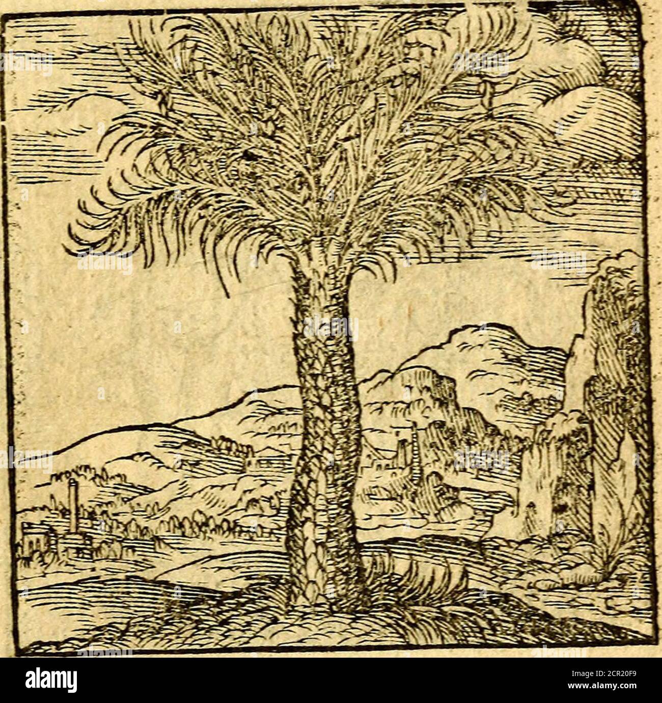 Matwa hi-res stock photography and images - Alamy