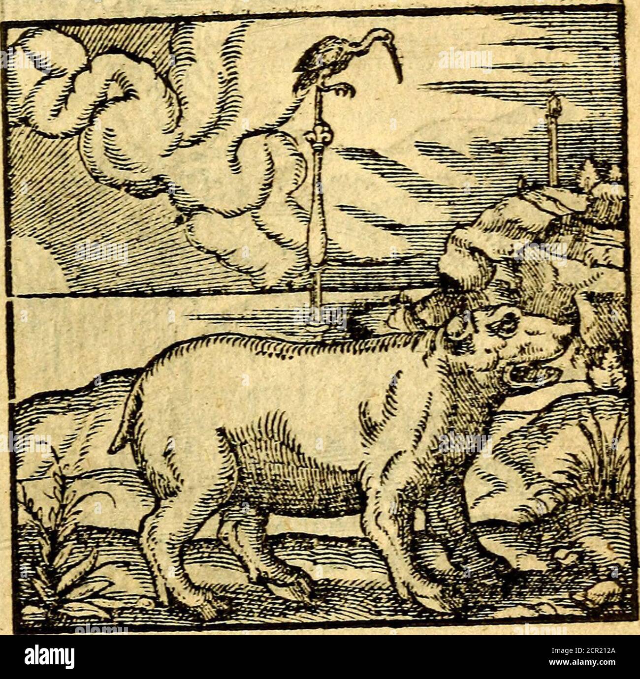 Ha nim hi-res stock photography and images - Alamy