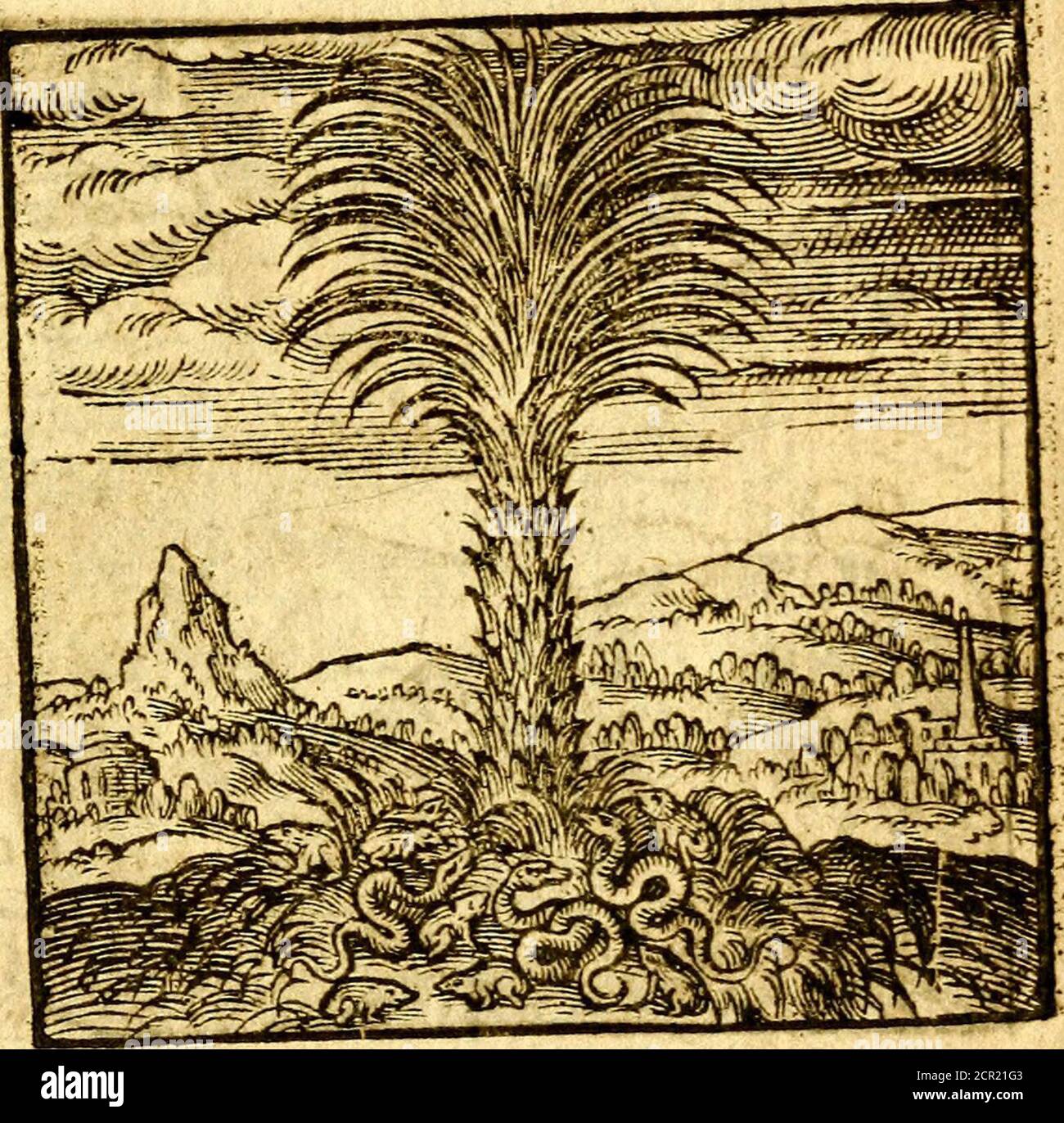 Adim hi-res stock photography and images - Alamy