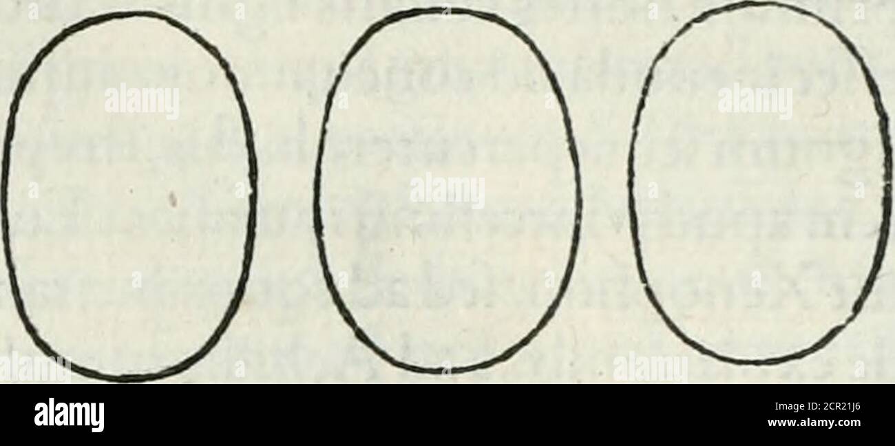 . Hieroglyphica, siue, De sacris Aegyptiorum literis commentarii ...