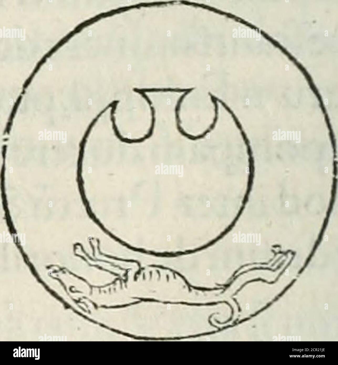 Bellunensis hi-res stock photography and images - Alamy