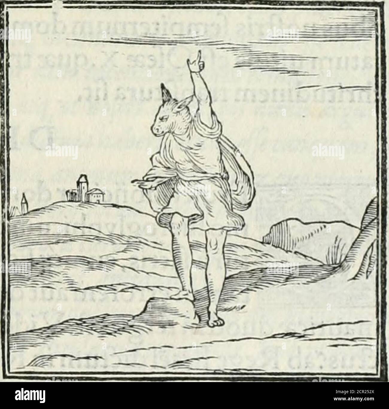 Bellunensis hi-res stock photography and images - Alamy