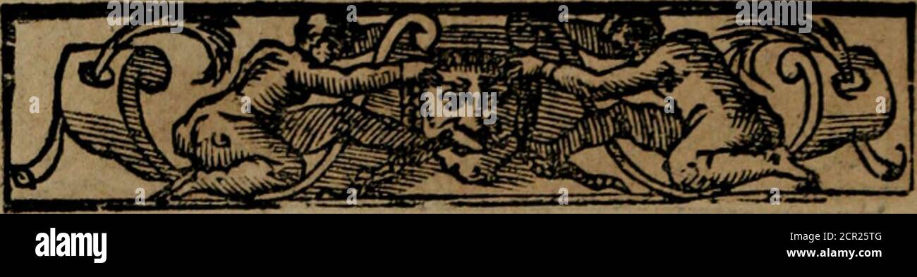 Pez de mar profundo hi-res stock photography and images - Alamy