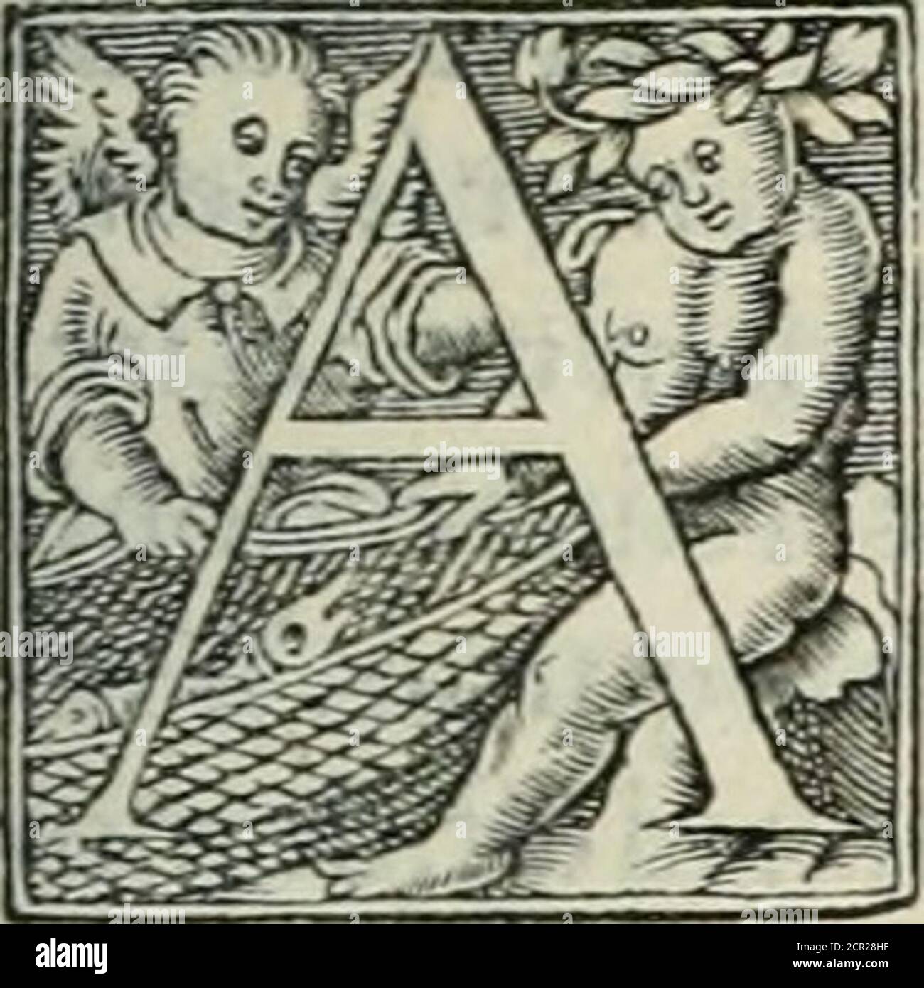 Bellunensis hi-res stock photography and images - Alamy