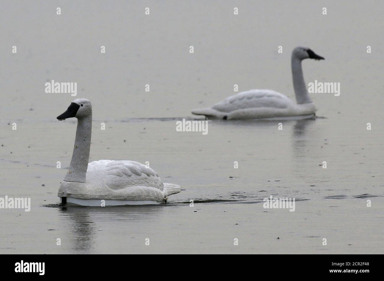 Singapore university of technology hi-res stock photography and images ...