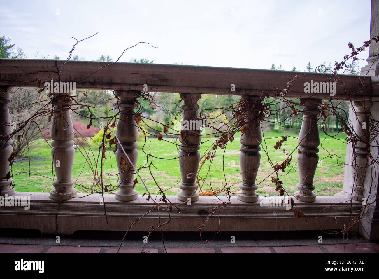 An Old Stone Railing Covered in Dead Ivy Stock Photo - Alamy
