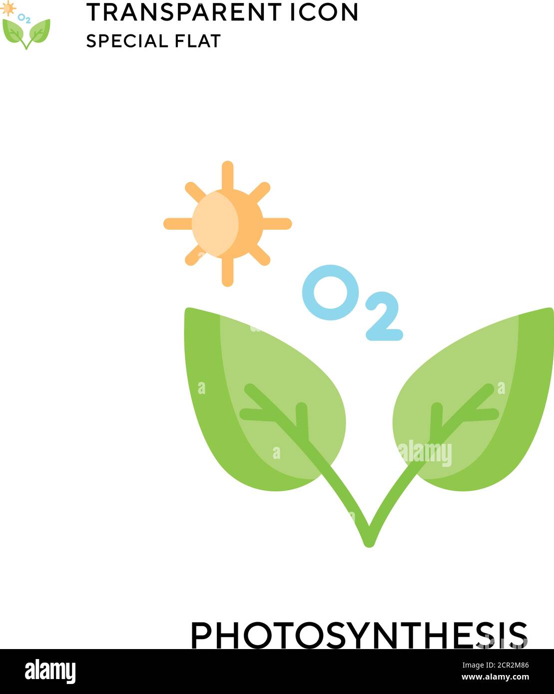 Photosynthesis diagram Cut Out Stock Images & Pictures - Alamy