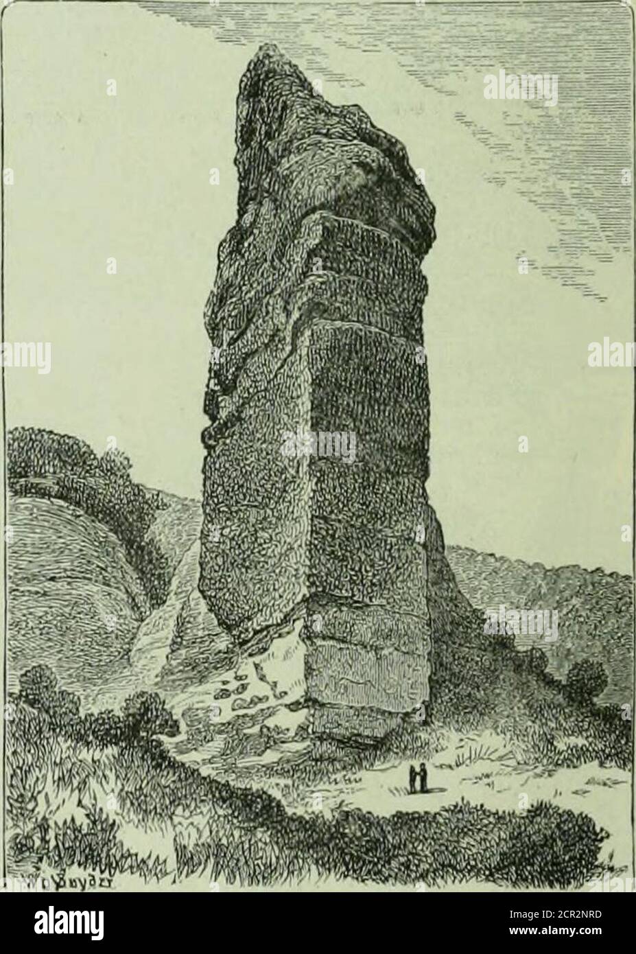 . The Pacific tourist . re exceedingly curious, and their aver-age ...