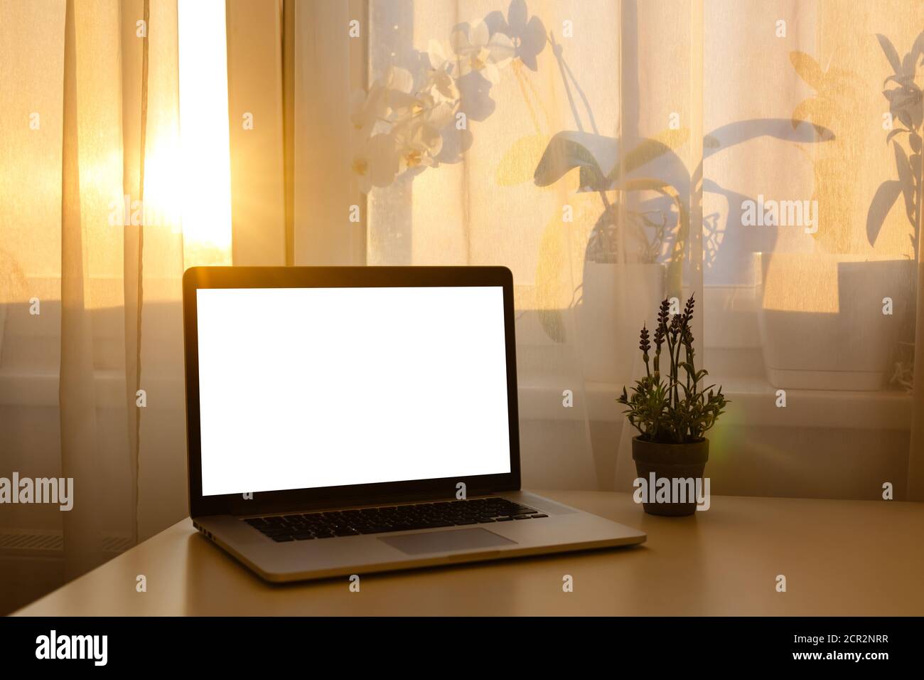 Side view of Open laptop computer. Modern thin edge slim design. Blank ...