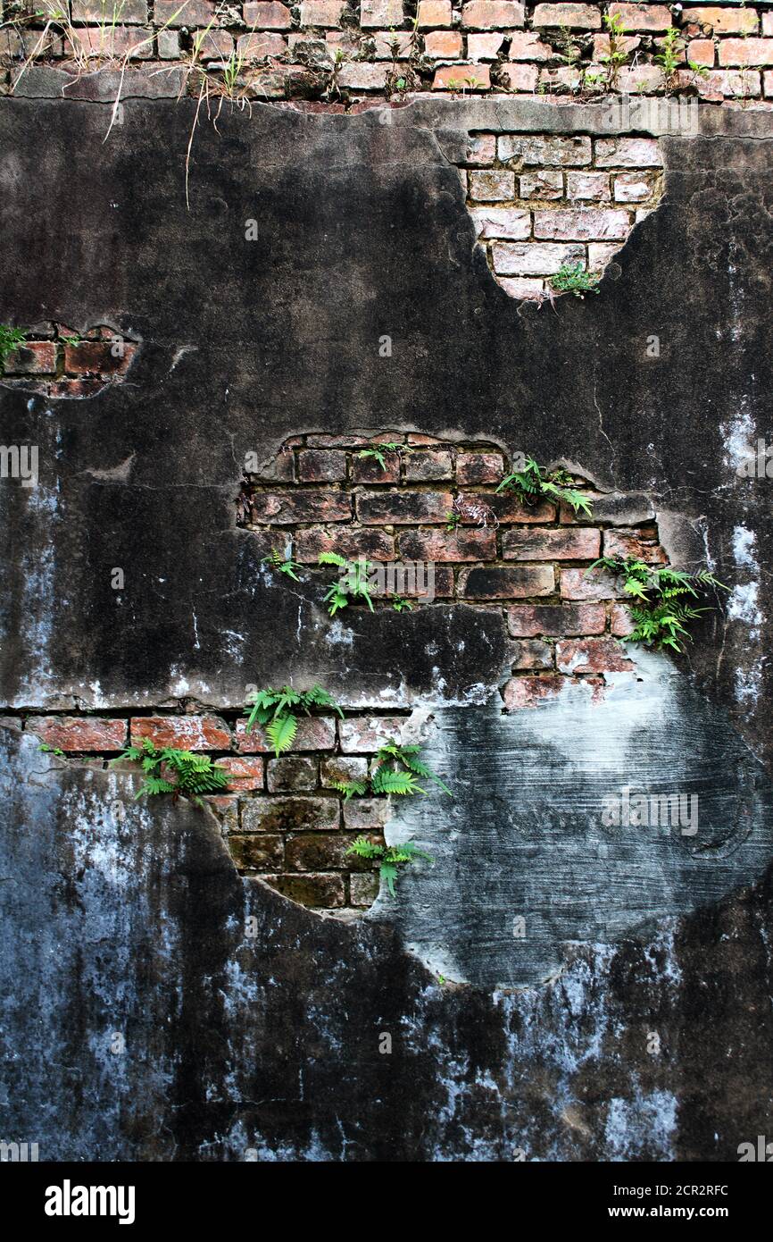 Layers of bricks hi-res stock photography and images - Alamy