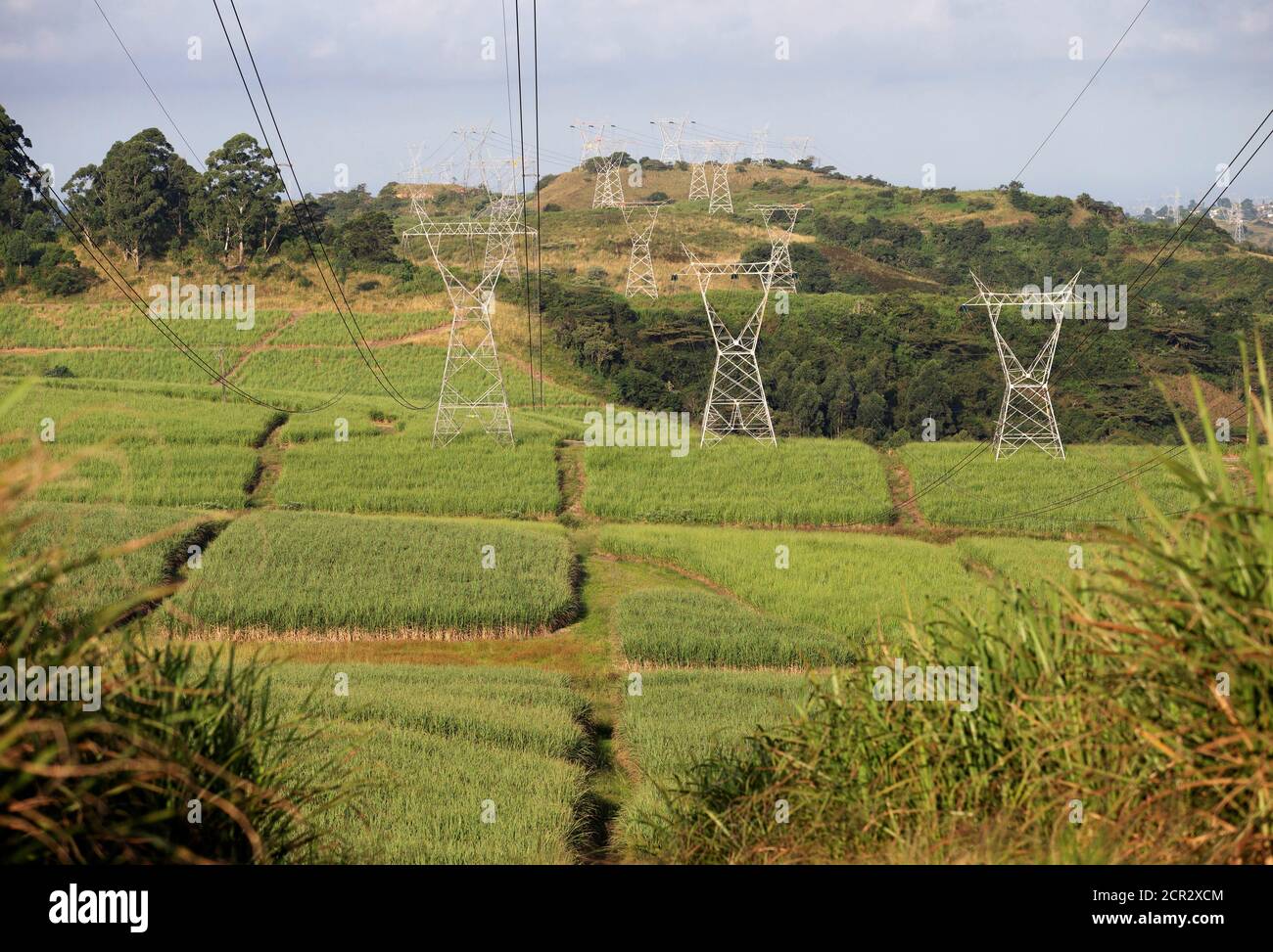 Tongaat hi-res stock photography and images - Alamy