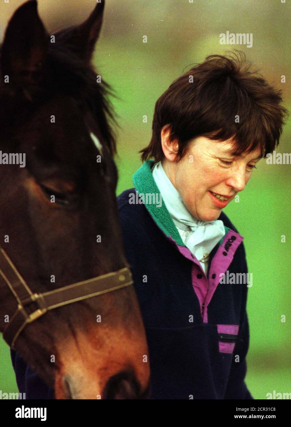 Gaynor cook hi-res stock photography and images - Alamy