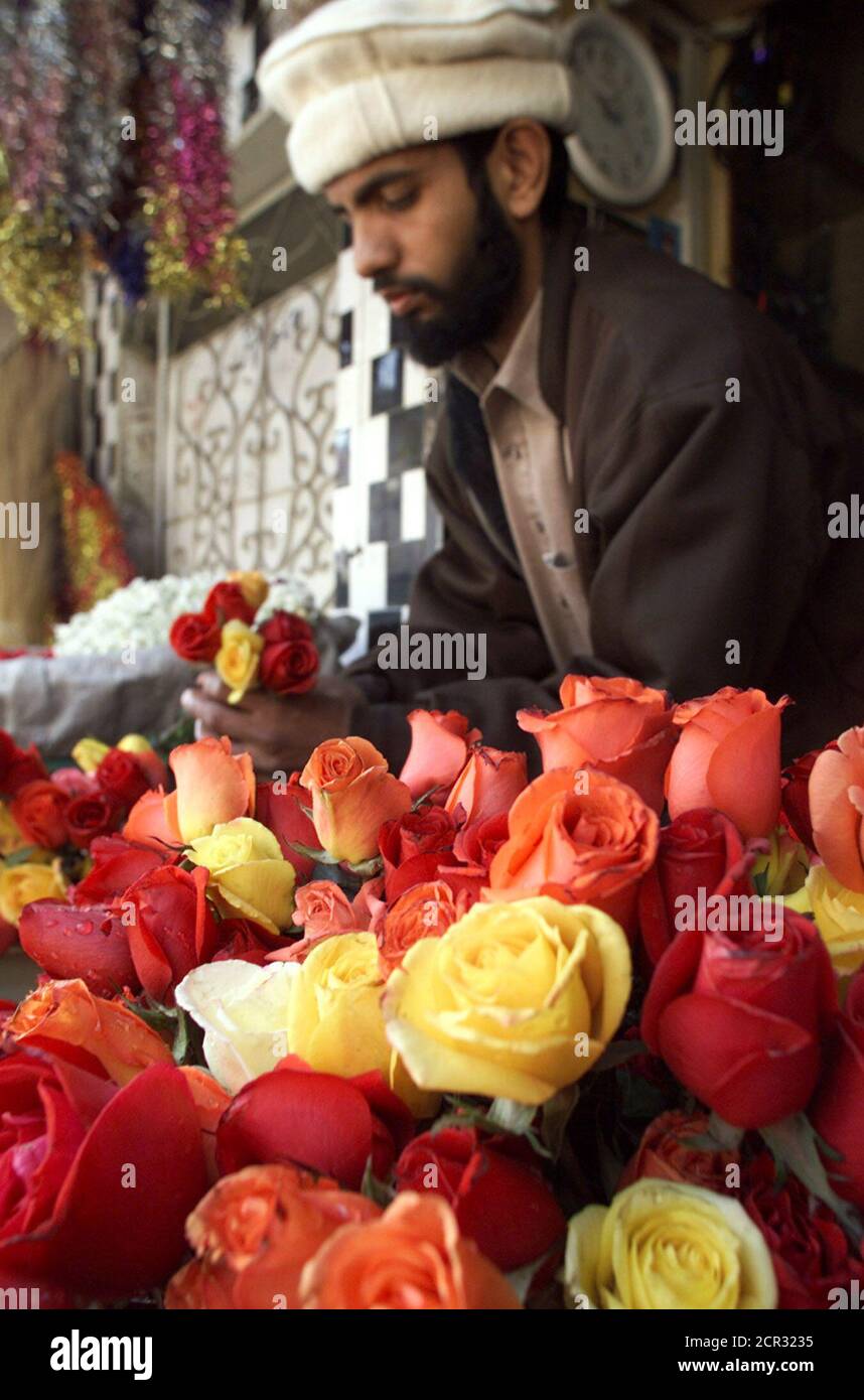 Pakistani roses hi-res stock photography and images - Alamy