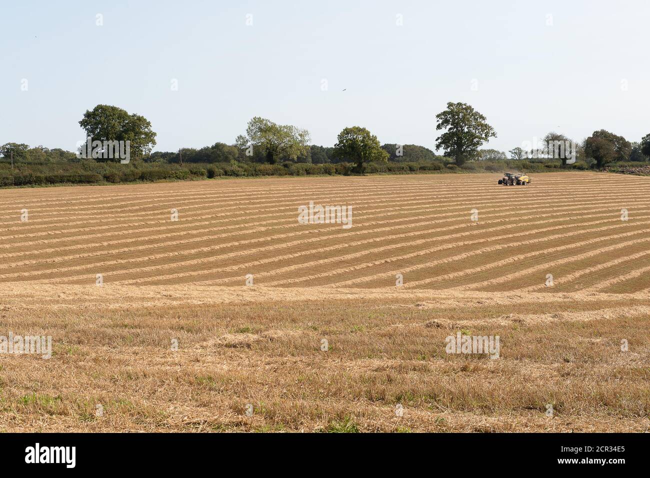 Maureen dean hi-res stock photography and images - Alamy