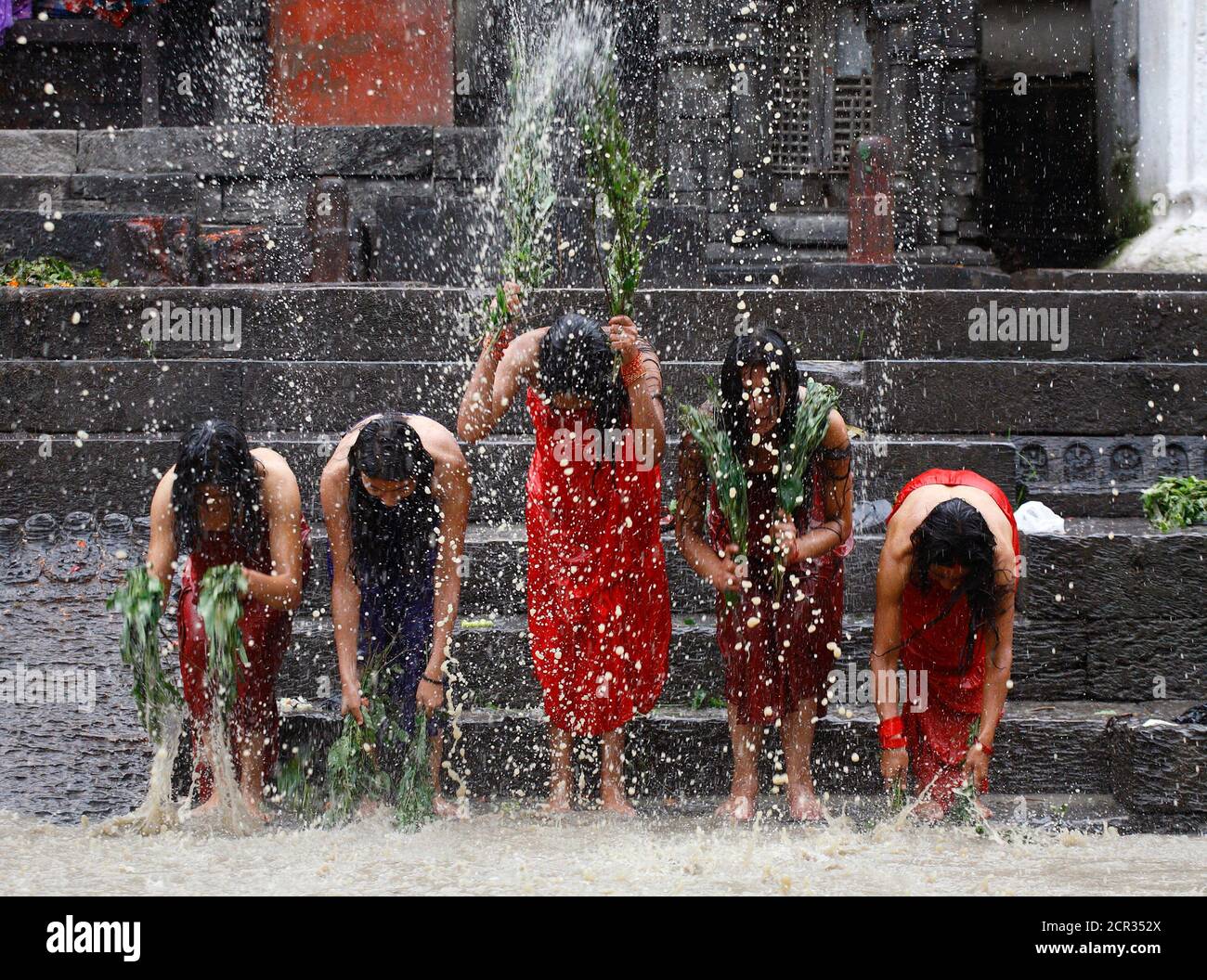 Aghada plant hi-res stock photography and images - Alamy