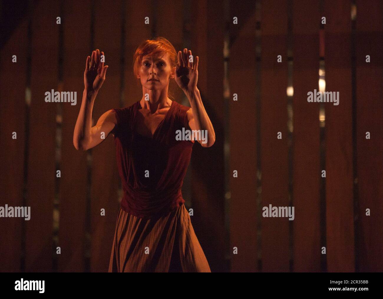 Estela robin hi-res stock photography and images - Alamy