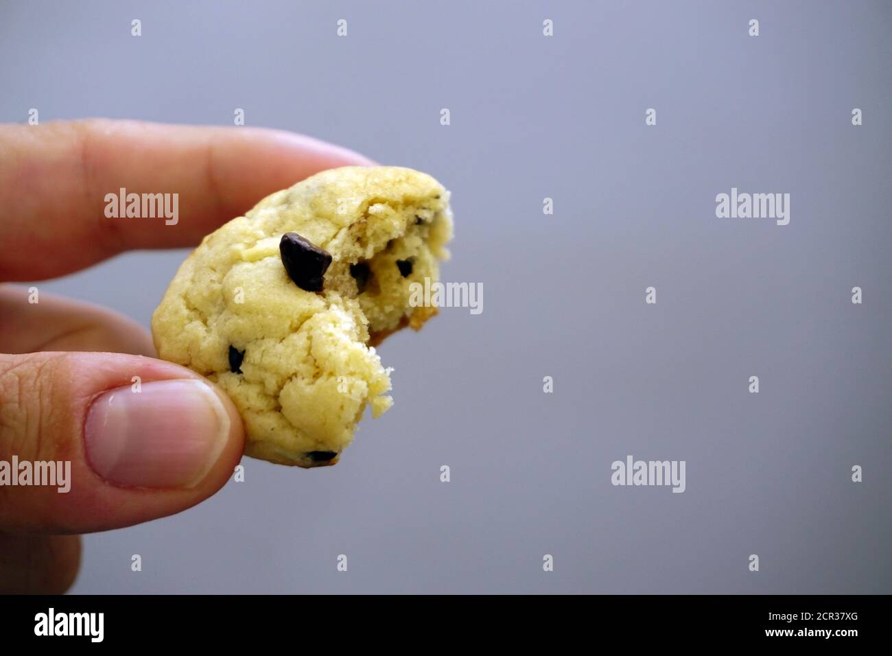 Chocolate chip cookie in hand close up view Stock Photo - Alamy