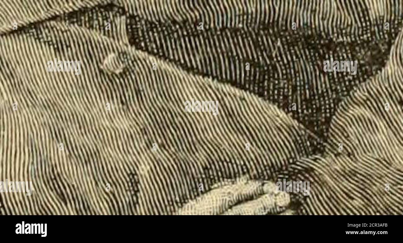 . The great locomotive chase; a history of the Andrews railroad raid ...