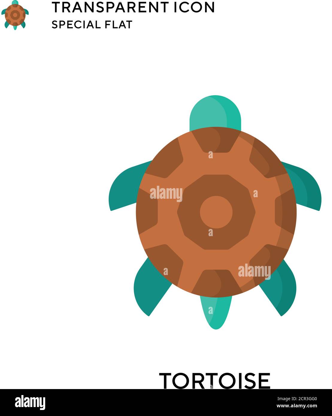 Portrait of galapagos giant tortoise Stock Vector Images - Alamy