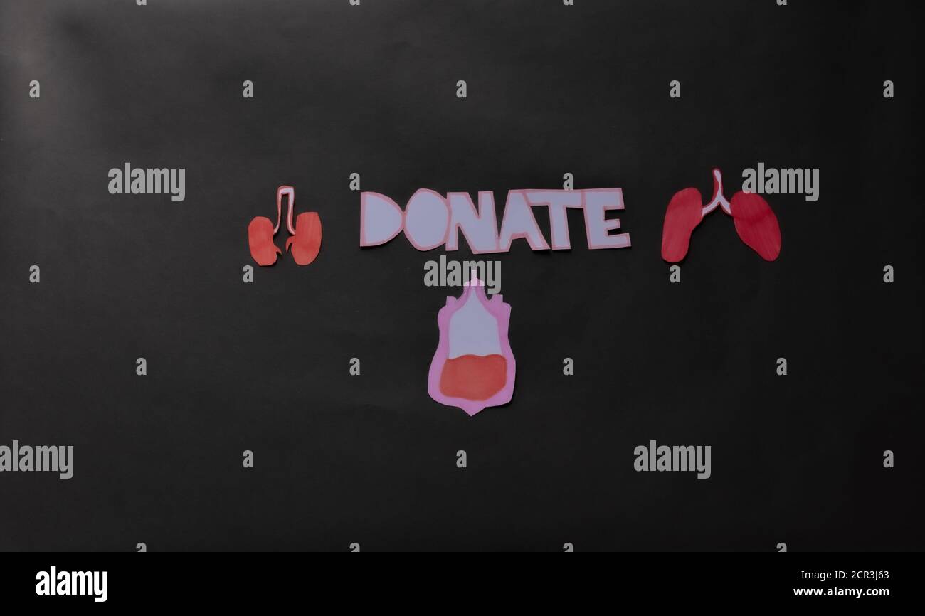 Paper cutouts of organs and blood with the word DONATE- concept of ...