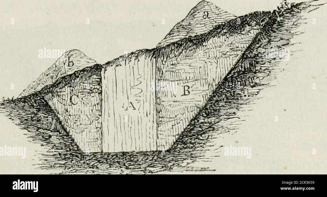 Le profil du temps hi-res stock photography and images - Alamy